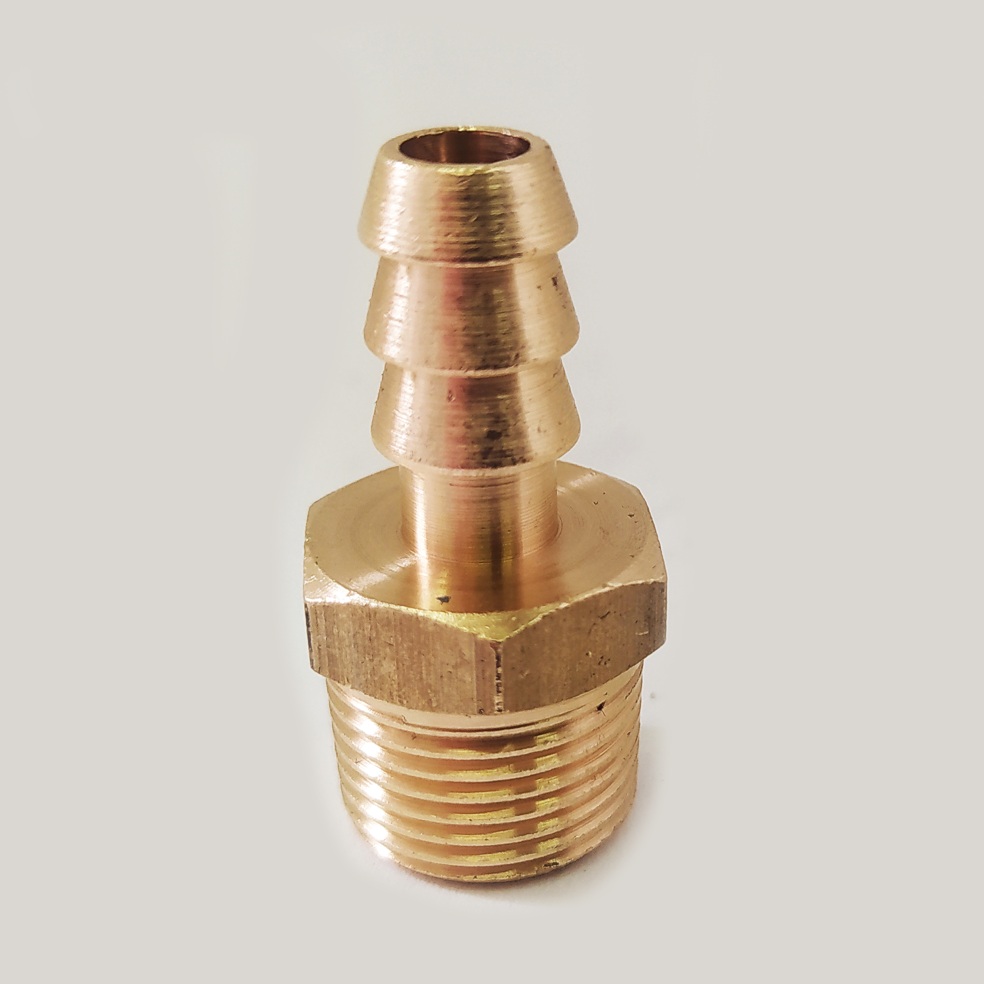 Racor Macho – wolse